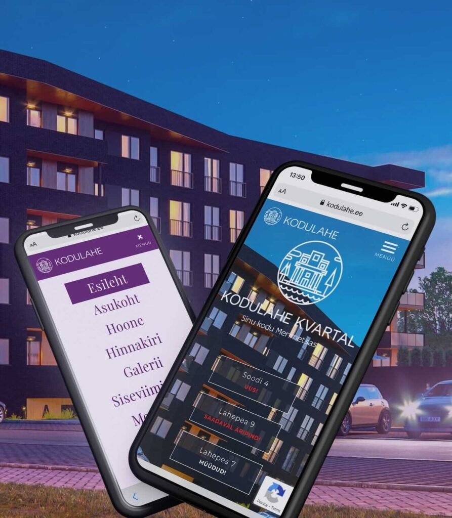 Veebidoktor | Rätseptööna valmivad internetiturundus projektid | Uuri lisa!
